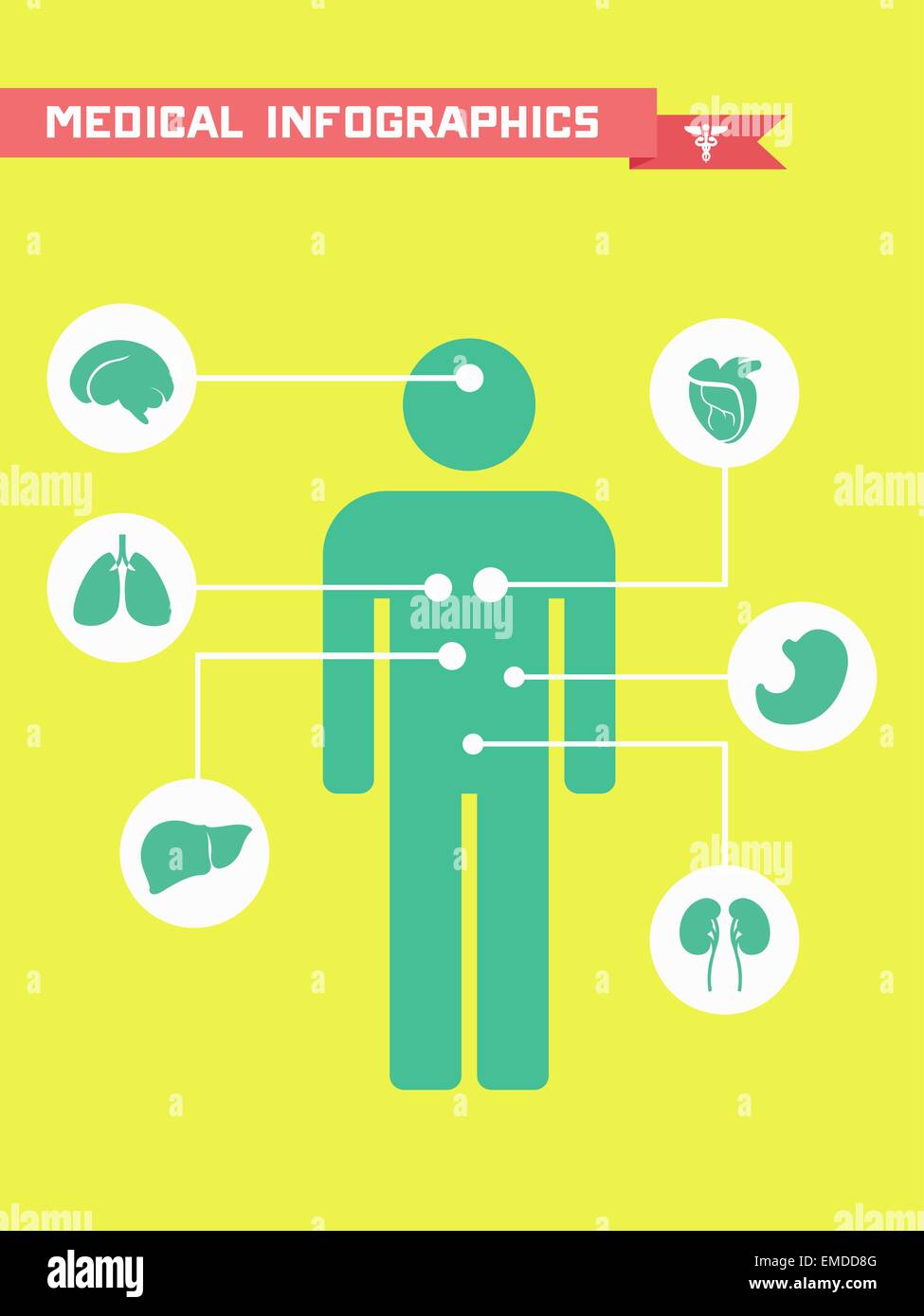 Medical body chart hi-res stock photography and images - Alamy