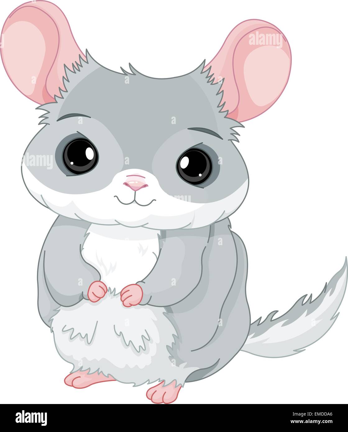 Chinchilla Stock Vector Images - Alamy