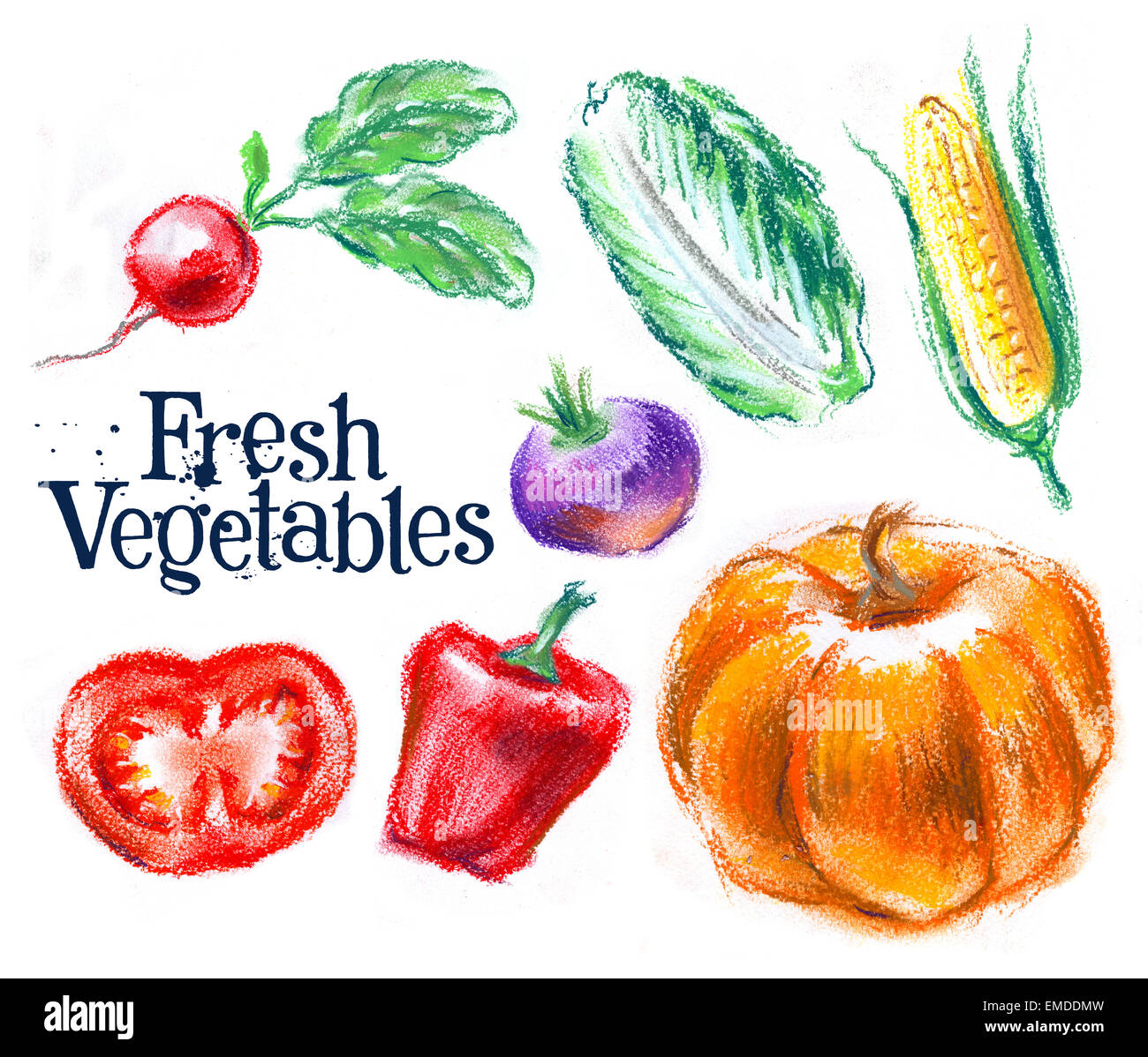 Vegetables drawing hi-res stock photography and images - Alamy