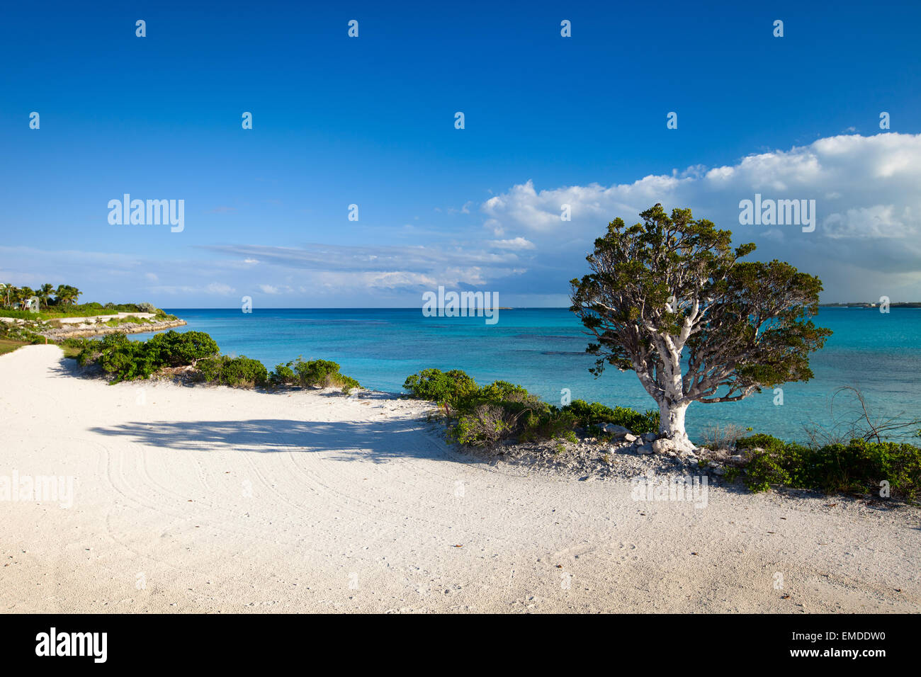 Coast at Bahamas Stock Photo - Alamy