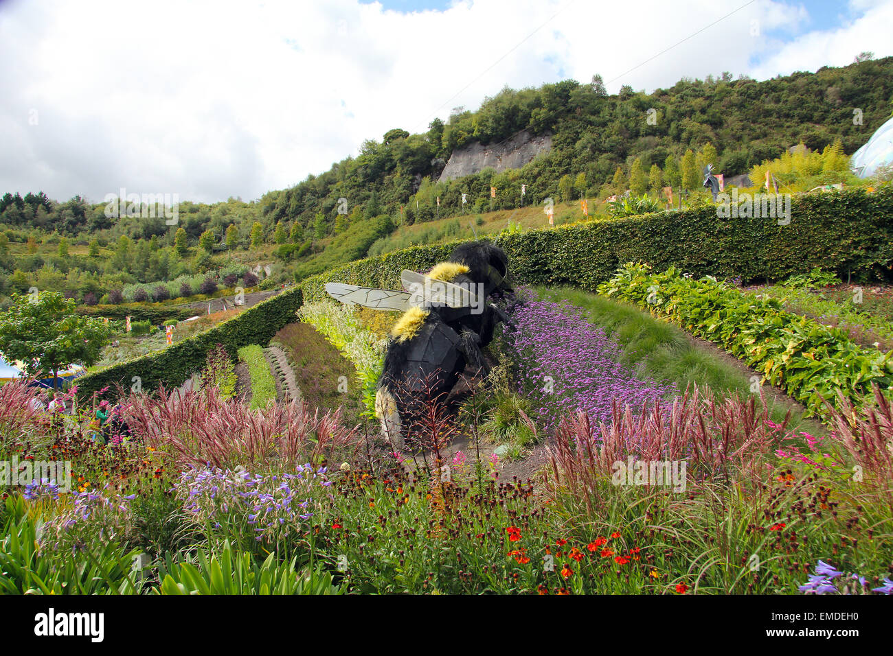 Flowers wish bee Eden Project UK Stock Photo - Alamy