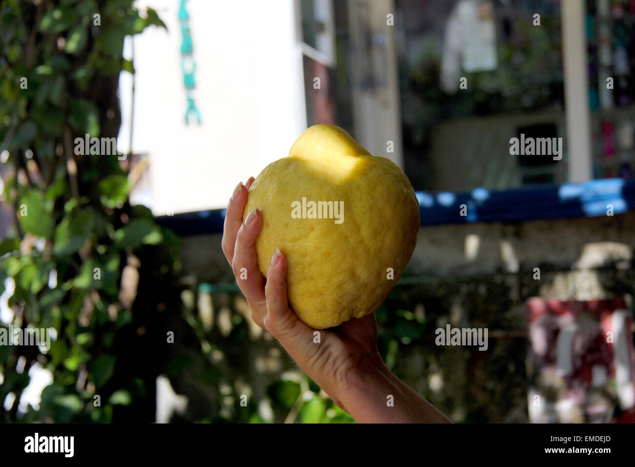 Lemon and hand Stock Photo - Alamy