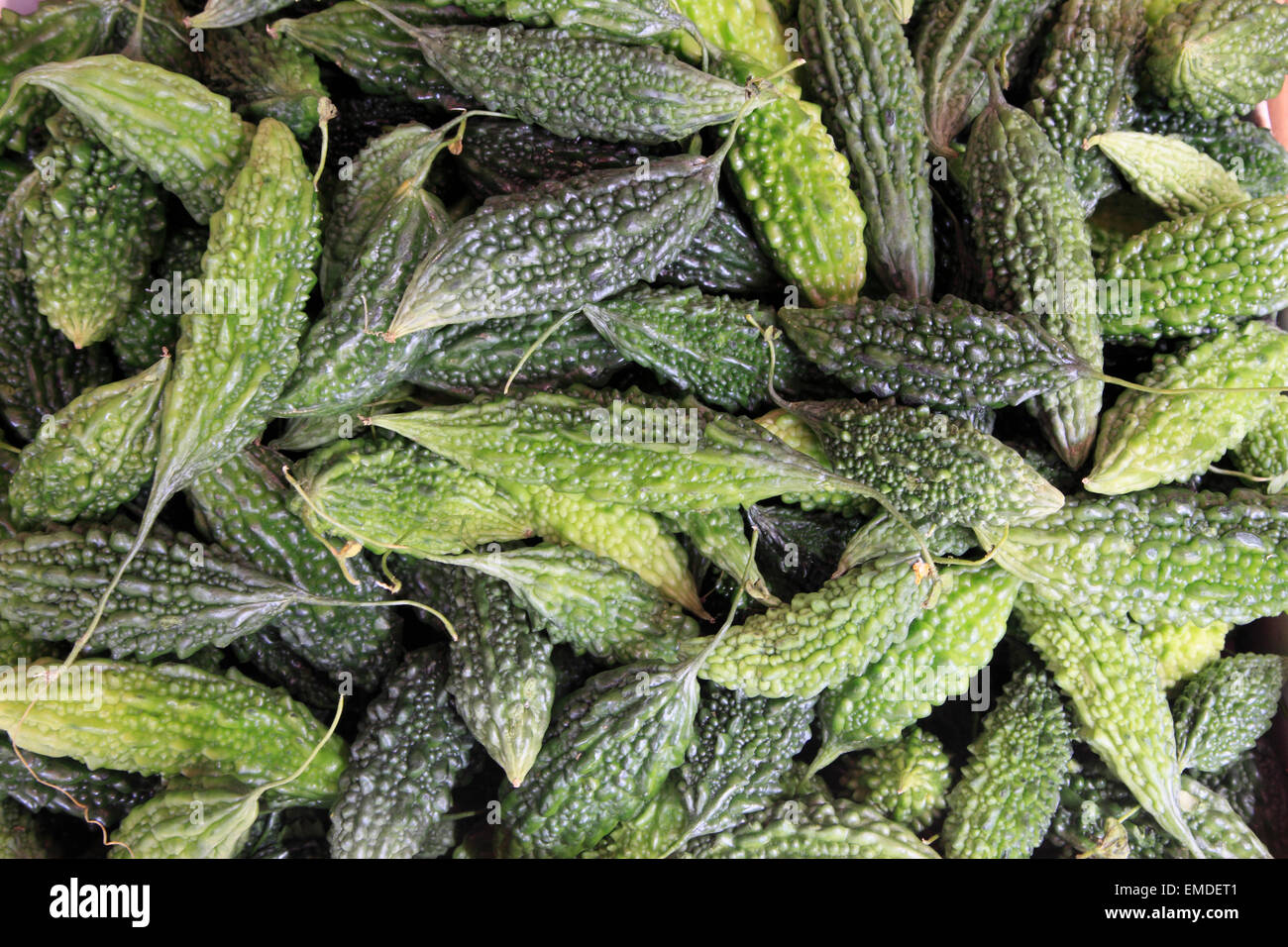 Hawaii, Oahu, Honolulu, Chinatown, O'ahu Market, bitter melon Stock ...