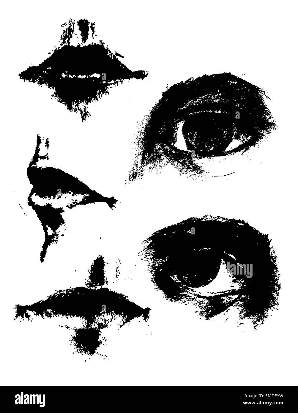 hand drawn pencil sketches Stock Vector Image & Art - Alamy