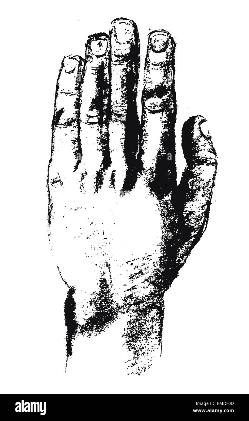 hand drawn pencil sketches Stock Vector Image & Art - Alamy