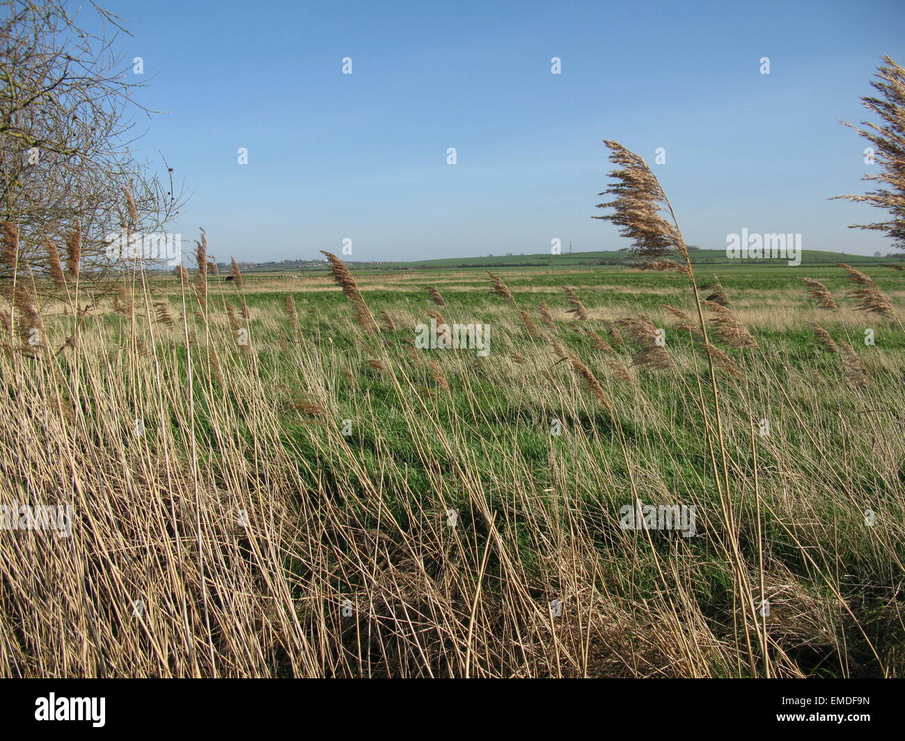 Low lying agricultural land hi-res stock photography and images - Alamy