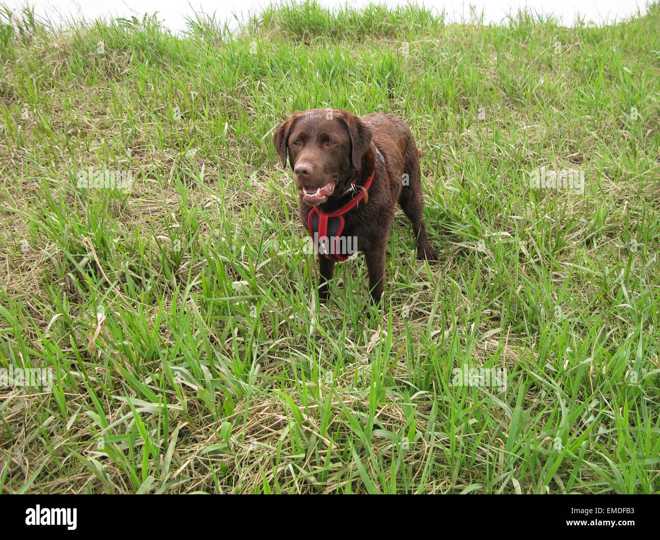 Reward alert hi-res stock photography and images - Alamy