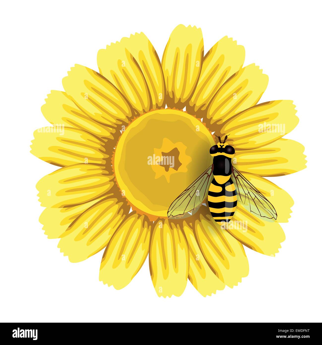 Bee on flower nature background Stock Vector Images - Alamy