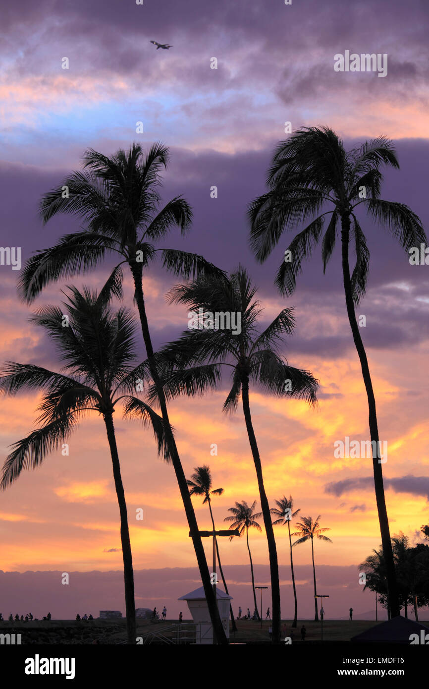 Hawaii, Oahu, Waikiki, Magic Island, sunset, palms, beach Stock Photo ...