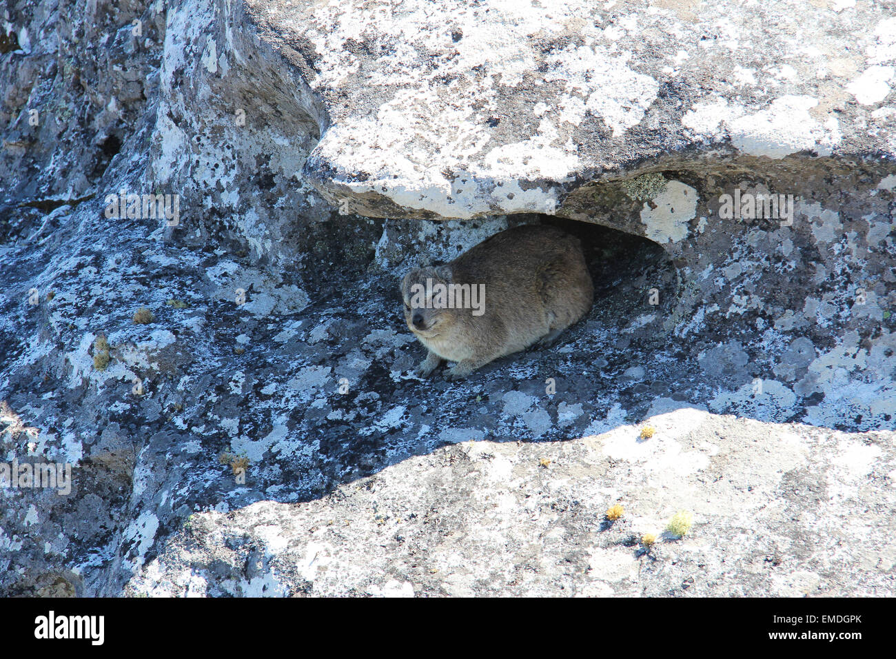 Rock dussy hi-res stock photography and images - Alamy