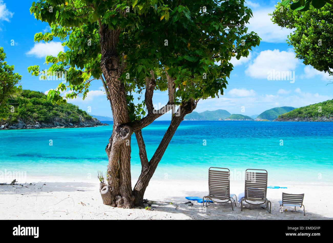Beautiful tropical beach at Caribbean Stock Photo - Alamy