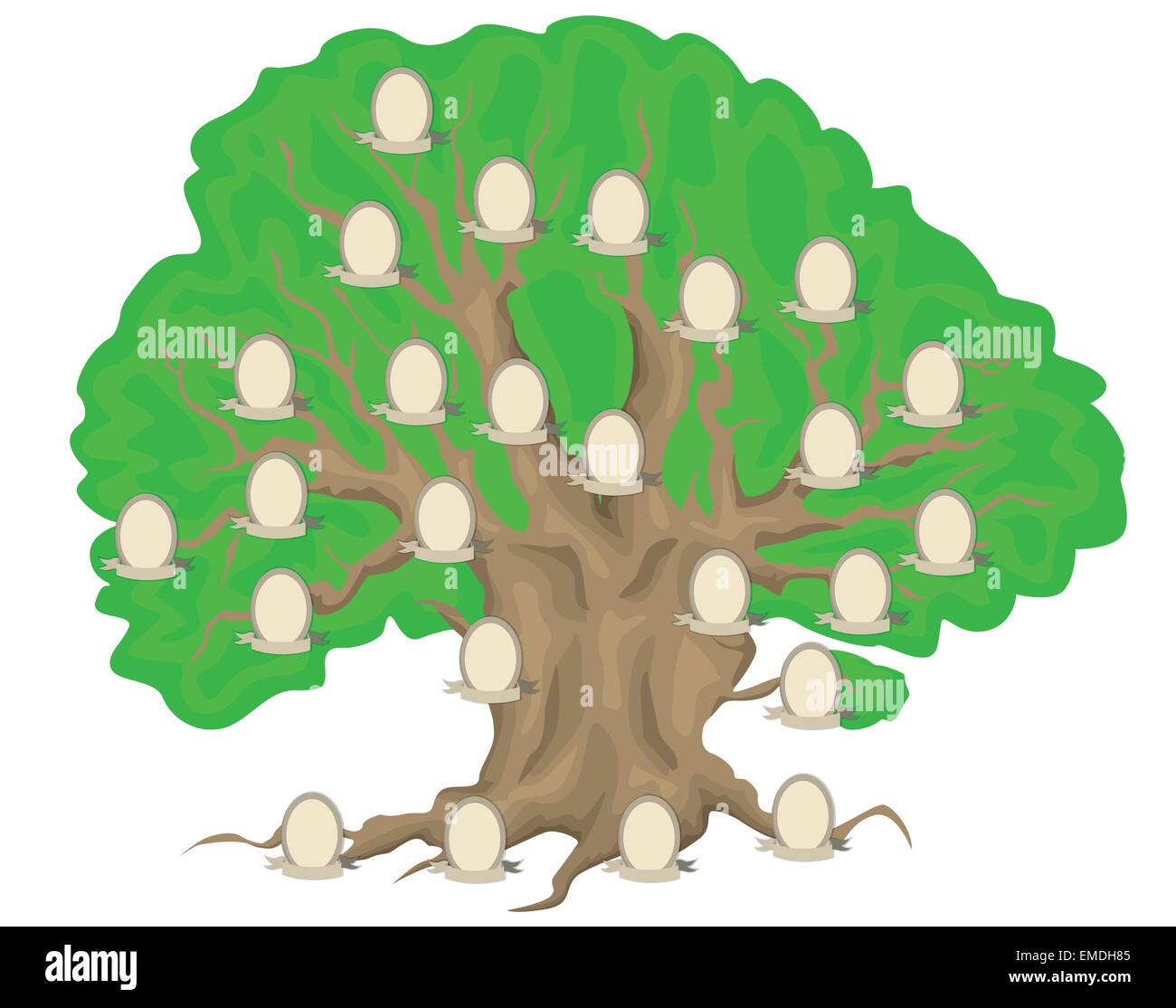Family history tree illustration Stock Vector Images - Alamy