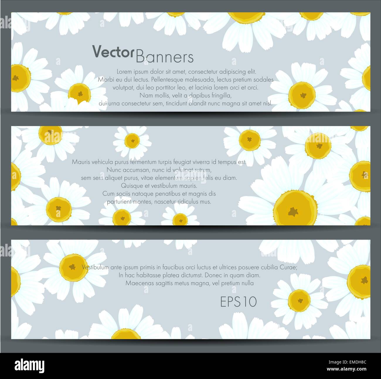 Flower vector banners Stock Vector Image & Art - Alamy