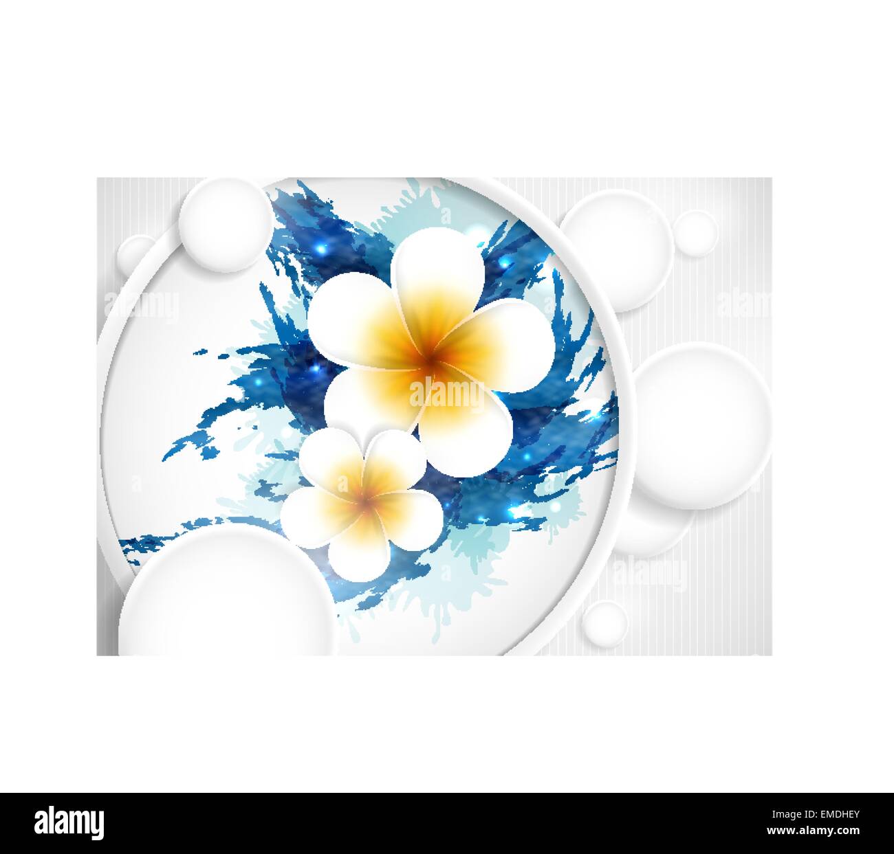 Frangipani Vector High Resolution Stock Photography and Images - Alamy