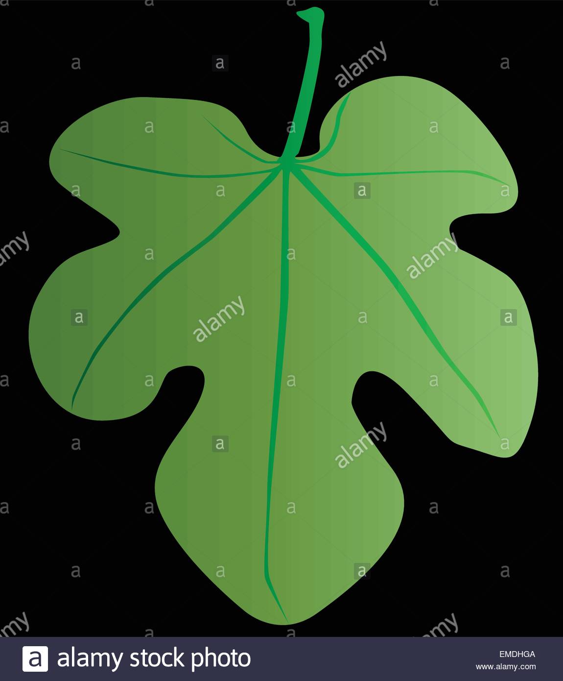 Adam Fig Leaf Stock Photos & Adam Fig Leaf Stock Images - Alamy