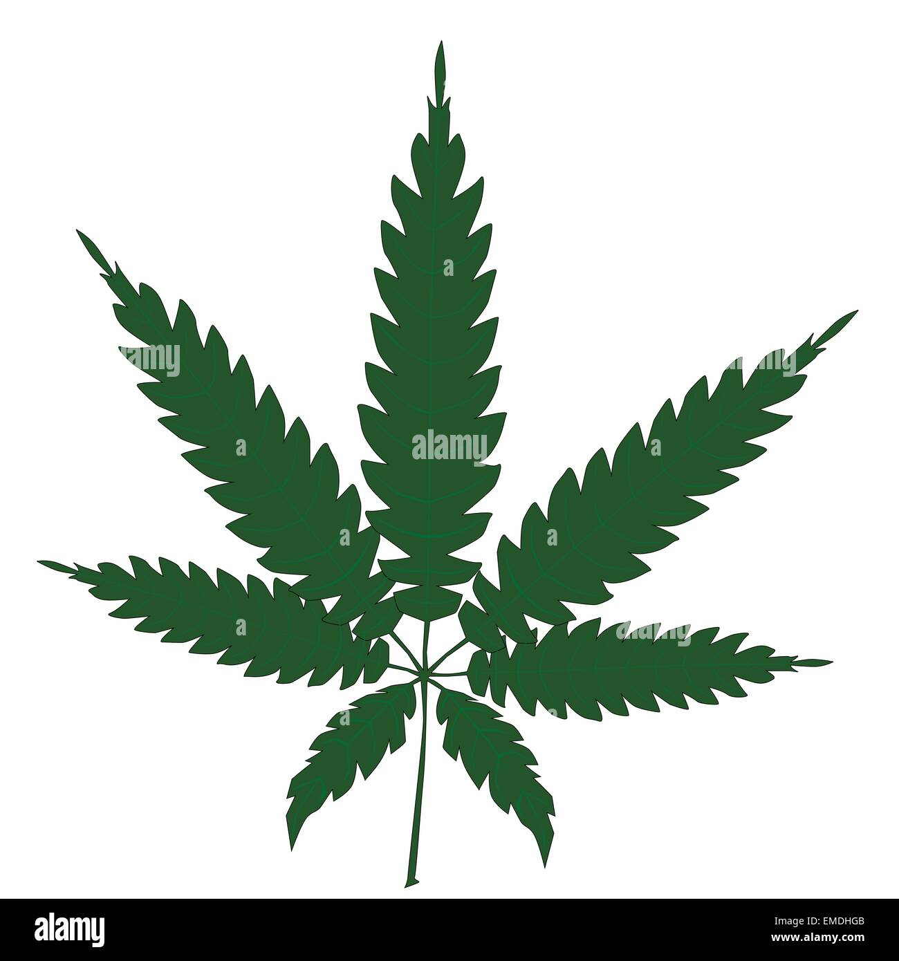 Hemp marijuana cannabis sativa Stock Vector Images - Alamy