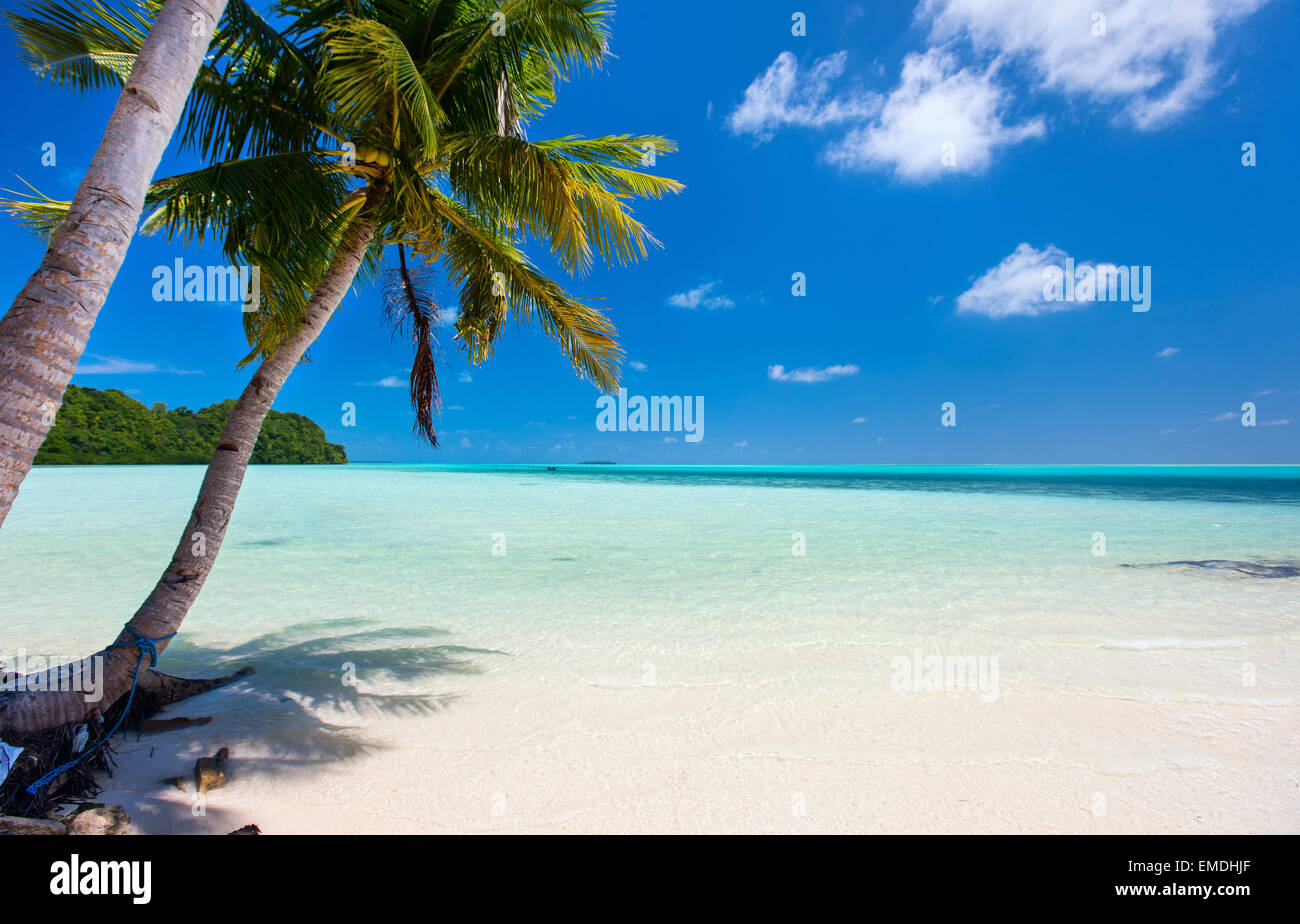 Sunny nature exotic coast beach hi-res stock photography and images - Alamy