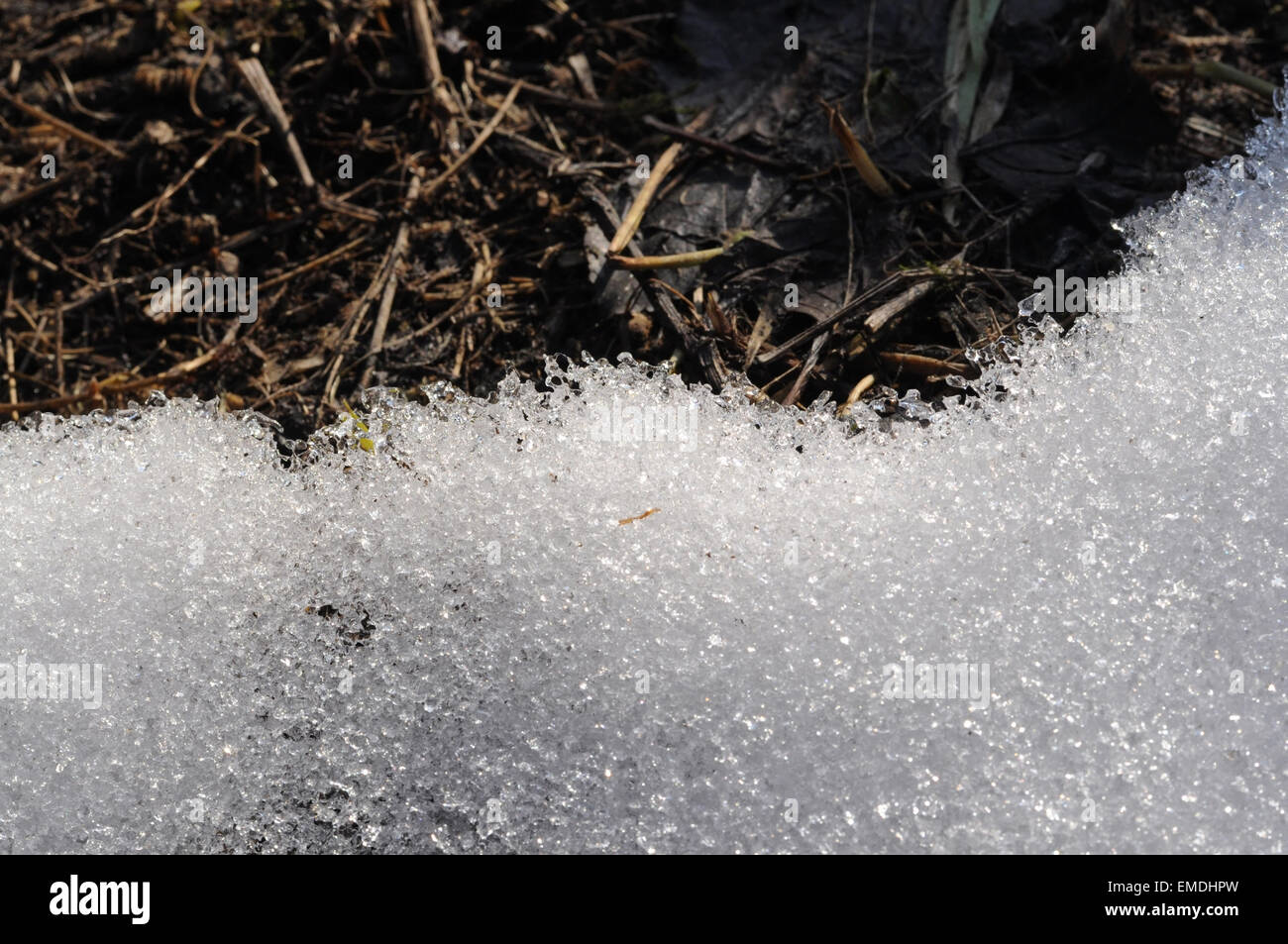 Melting snow in the spring on a sunny day Stock Photo - Alamy
