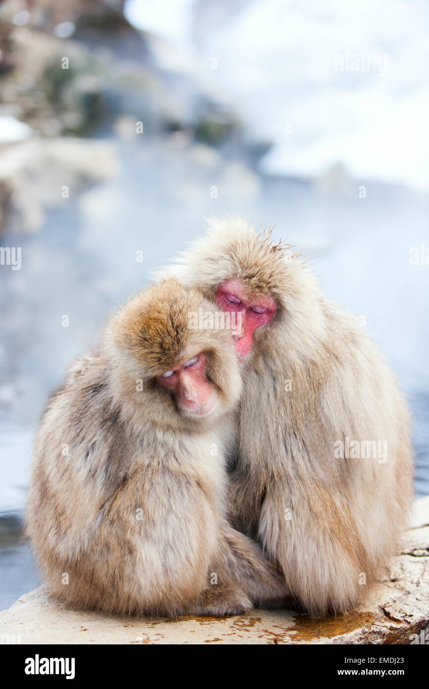 Couple spa snow hi-res stock photography and images - Alamy