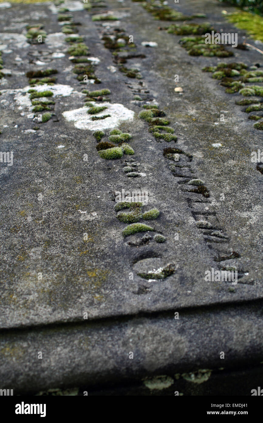 Gravestone and moss Stock Photo - Alamy