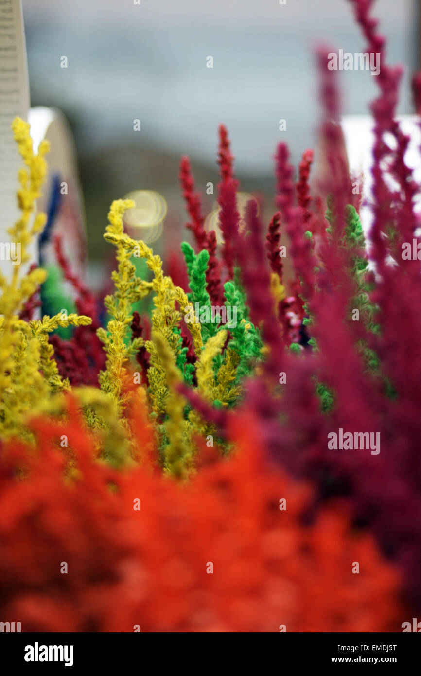 Heather flower hi-res stock photography and images - Alamy