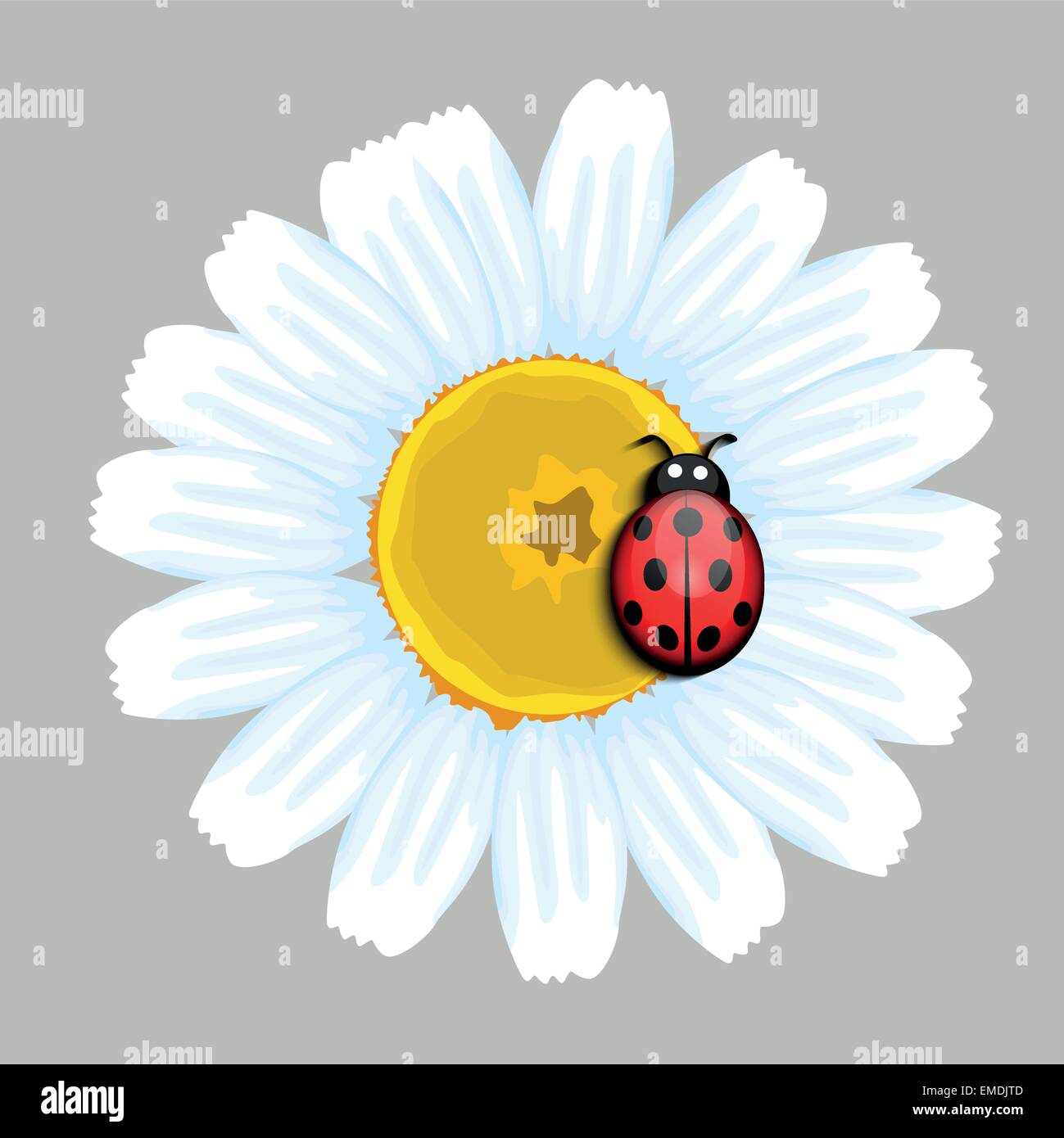 Ladybug on flower Stock Vector Image & Art - Alamy