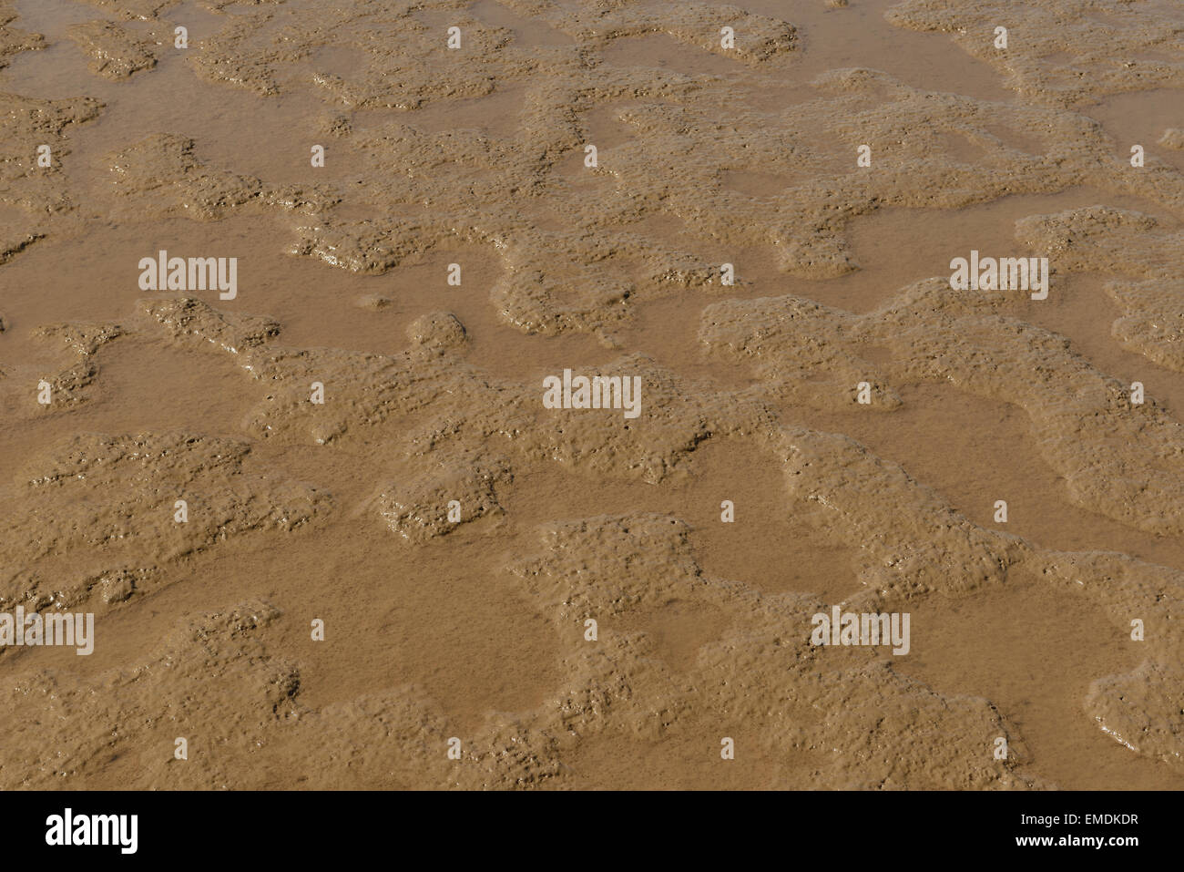 Quick sand hi-res stock photography and images - Alamy