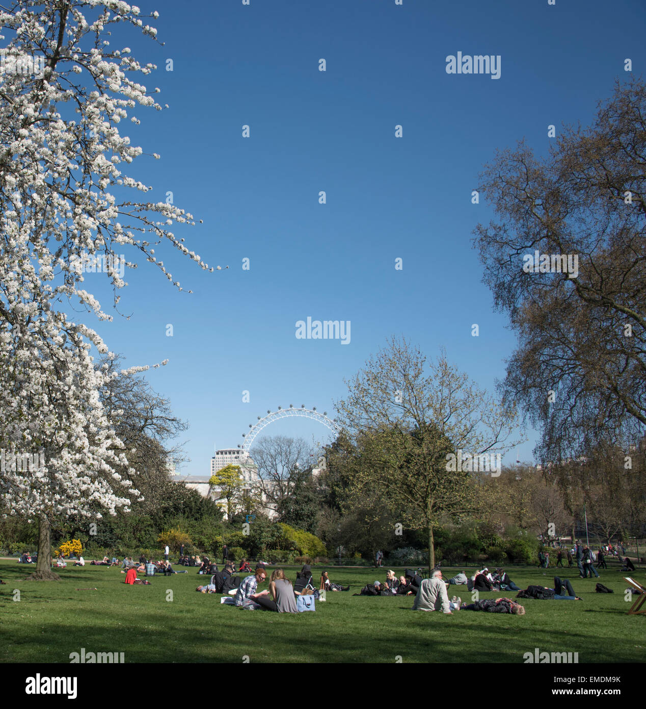 Picnic in st james park hi-res stock photography and images - Alamy