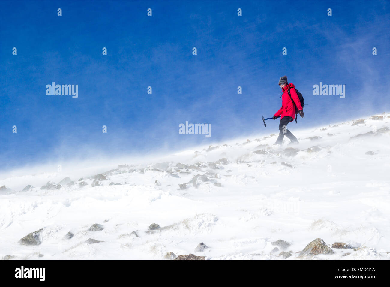 Beautiful caucasian girl blowing hi-res stock photography and images ...