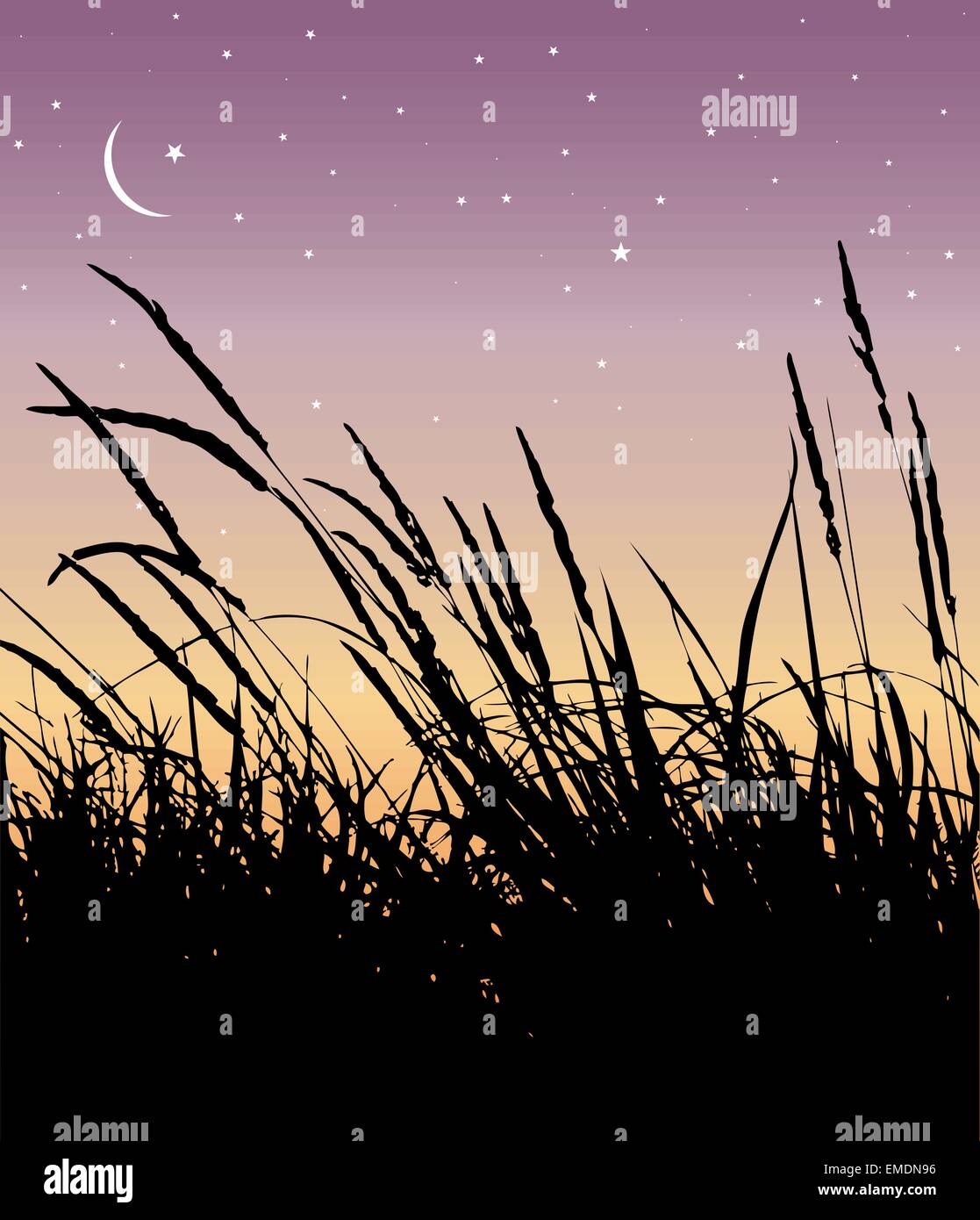 Reeds background Stock Vector Images - Alamy