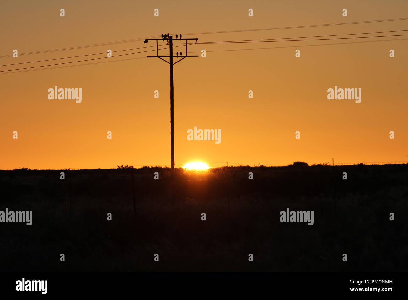 Sunrise with grass and telephone pole Stock Photo - Alamy