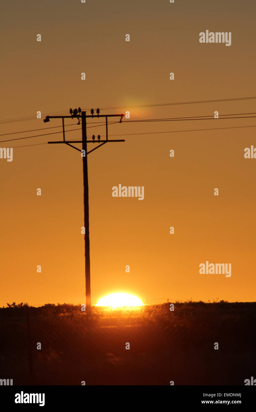 Sunrise with grass and telephone pole Stock Photo - Alamy