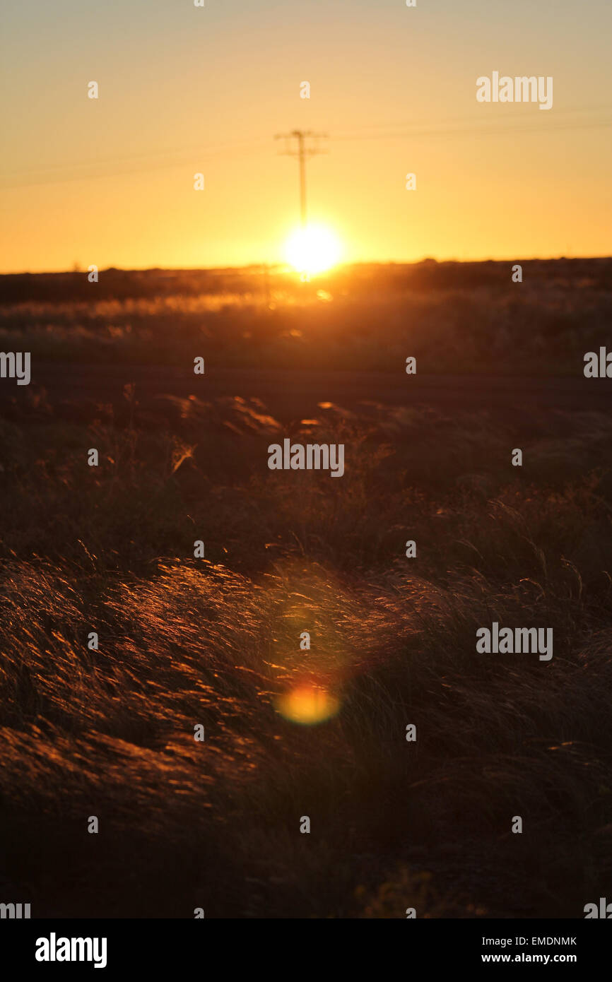 Sunrise with grass and telephone pole Stock Photo - Alamy