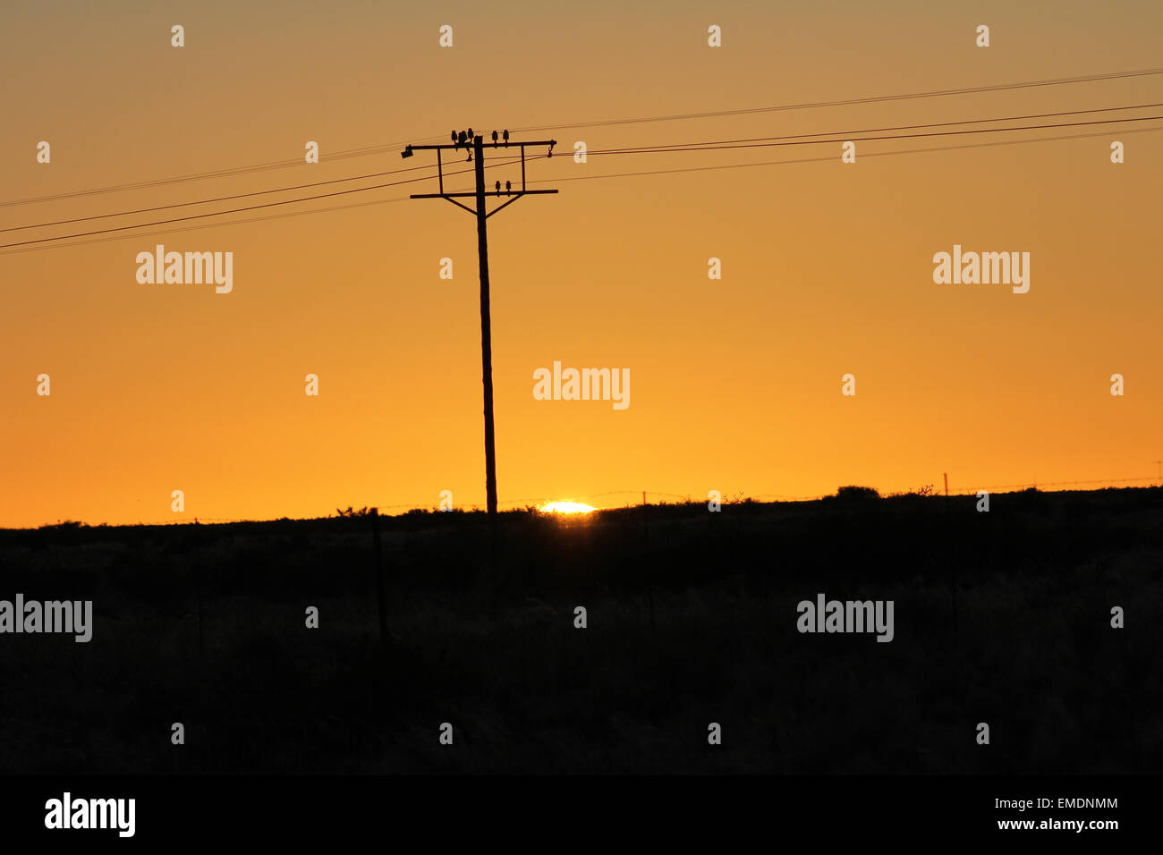 Grass telephone pole hi-res stock photography and images - Alamy