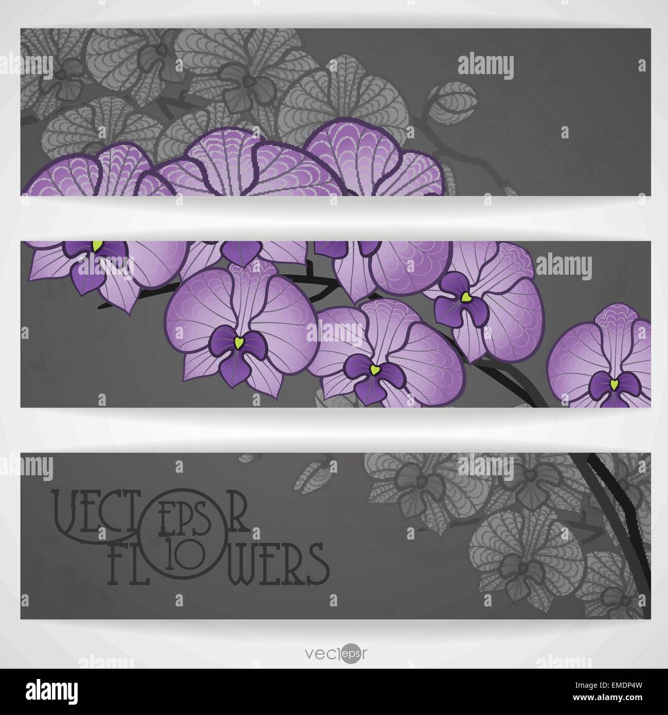 Hand drawing orchid flower hi-res stock photography and images - Alamy