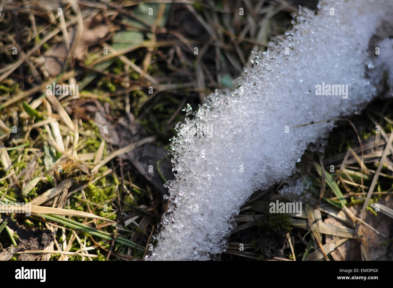 Melting snow in the spring on a sunny day Stock Photo - Alamy