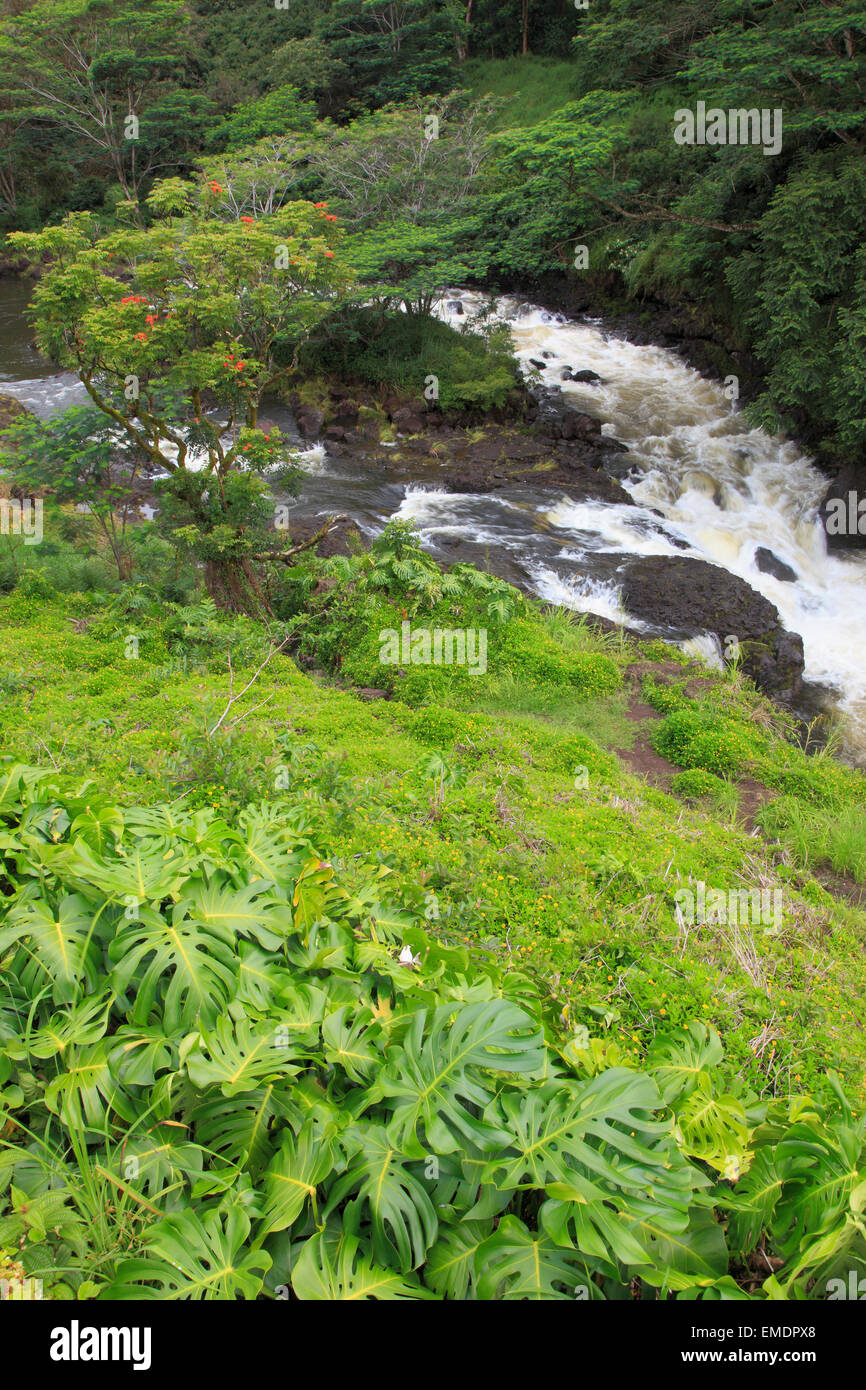 Pe’epe’e falls hi-res stock photography and images - Alamy