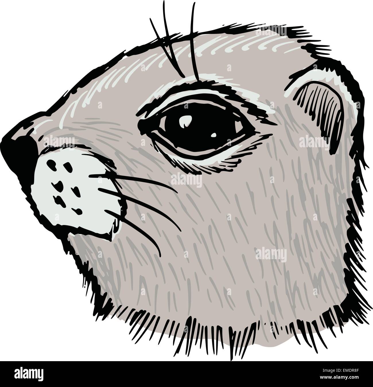 Dog gopher Stock Vector Images - Alamy