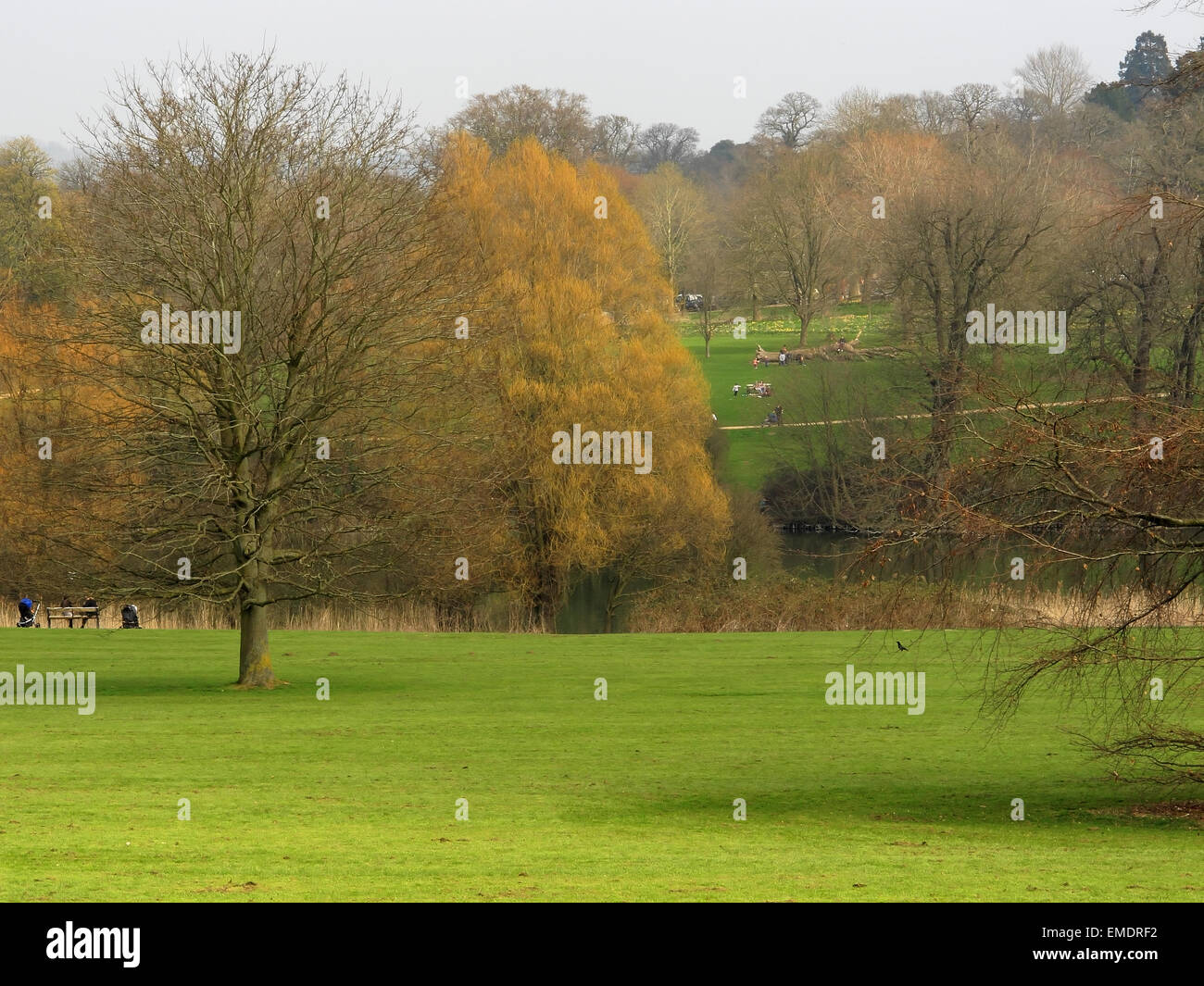 Mote Park Stock Photos & Mote Park Stock Images - Alamy