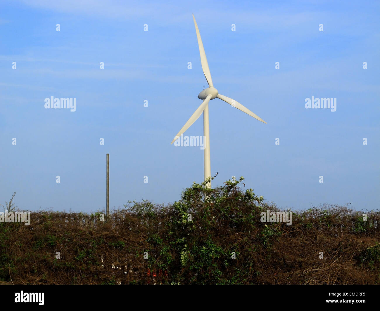 A wind powered electricity generator Stock Photo - Alamy
