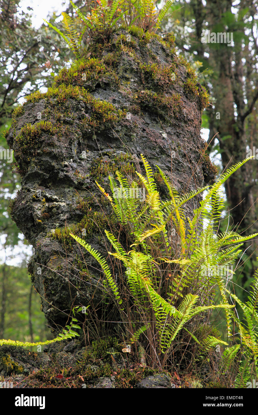 Hawaii monument hi-res stock photography and images - Alamy
