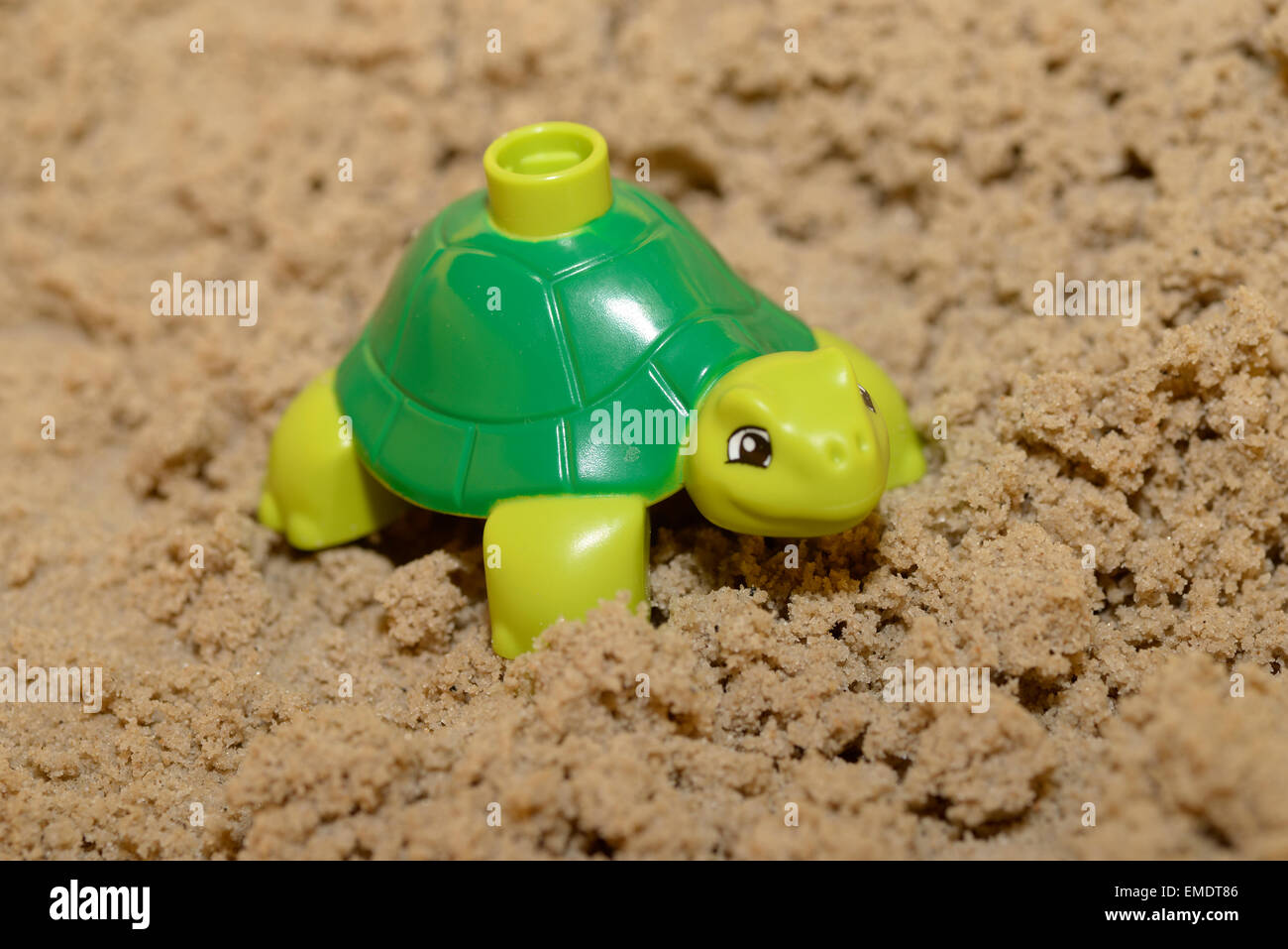 turtle or tortoise in sand Stock Photo - Alamy