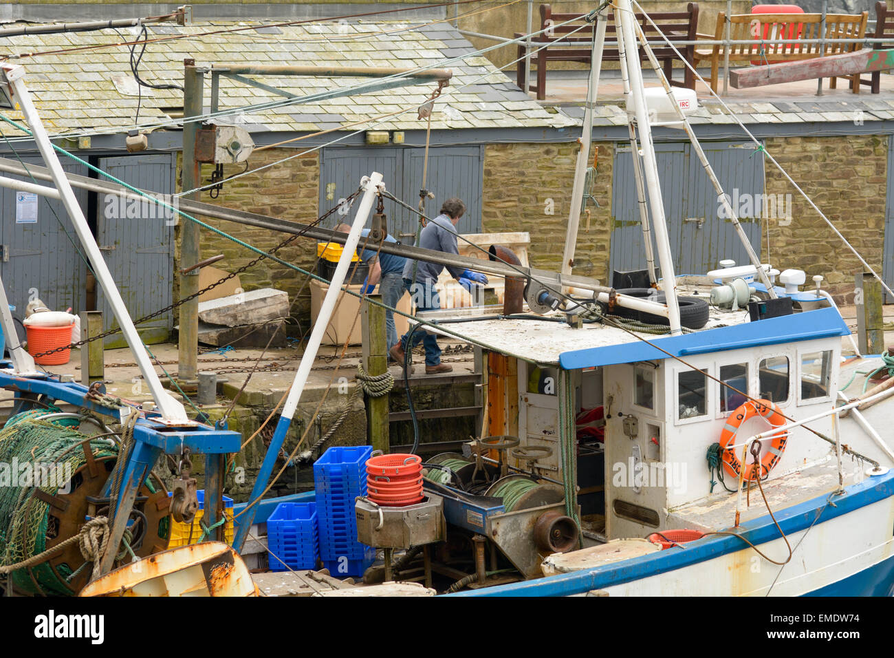 Unloading the catch from trawler returned to port in Polperro, Cornwall ...