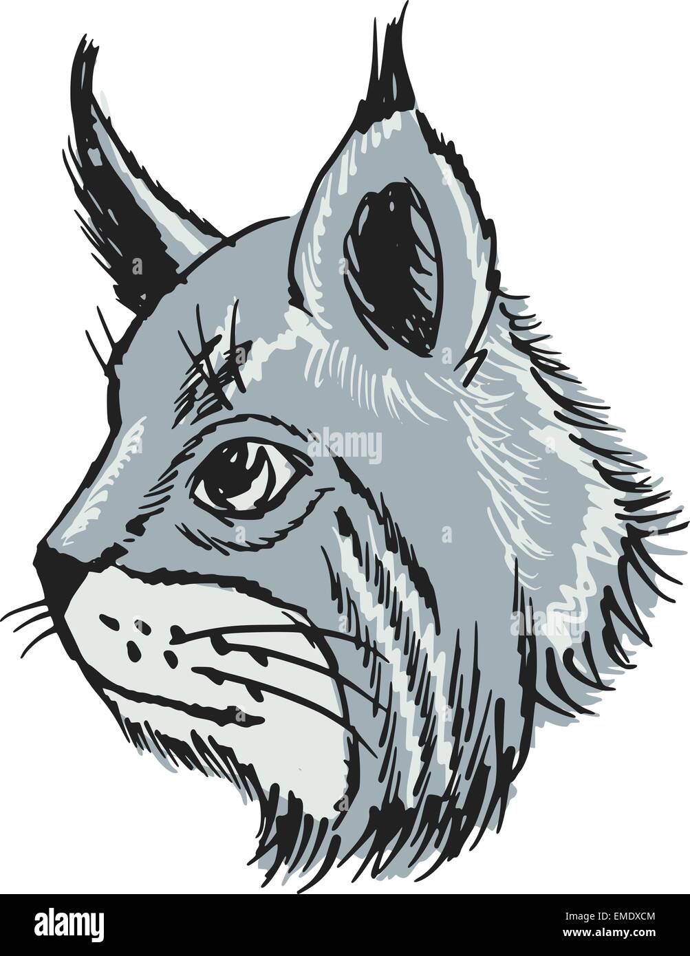 Portrait lynx Stock Vector Images - Alamy