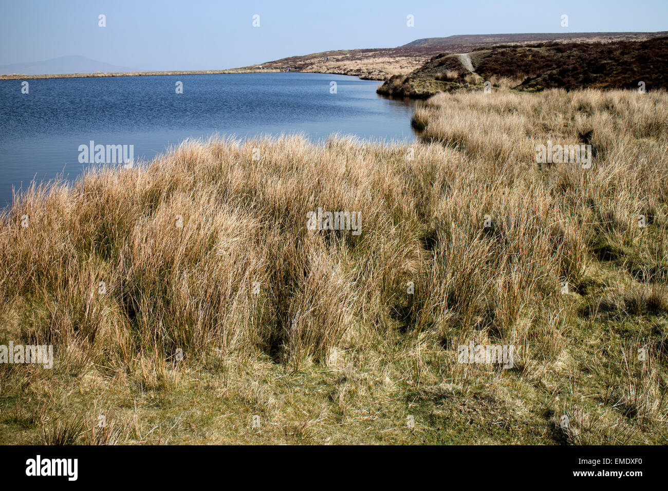 Keeper`s Pond, the Blorenge, Monmouthshire, Wales, UK Stock Photo - Alamy