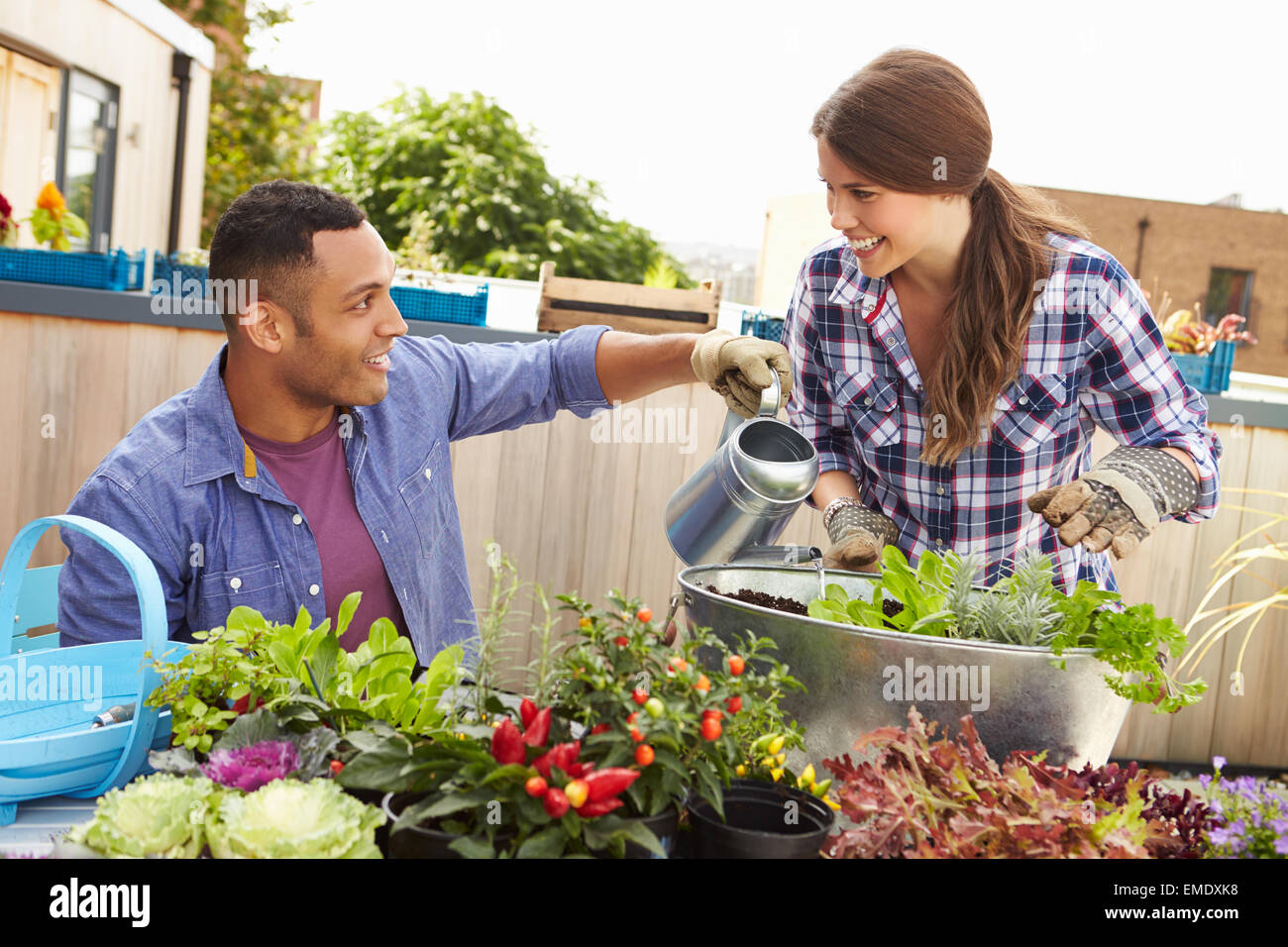 Mixed Race Couple Planting Rooftop Garden Together Stock Photo - Alamy