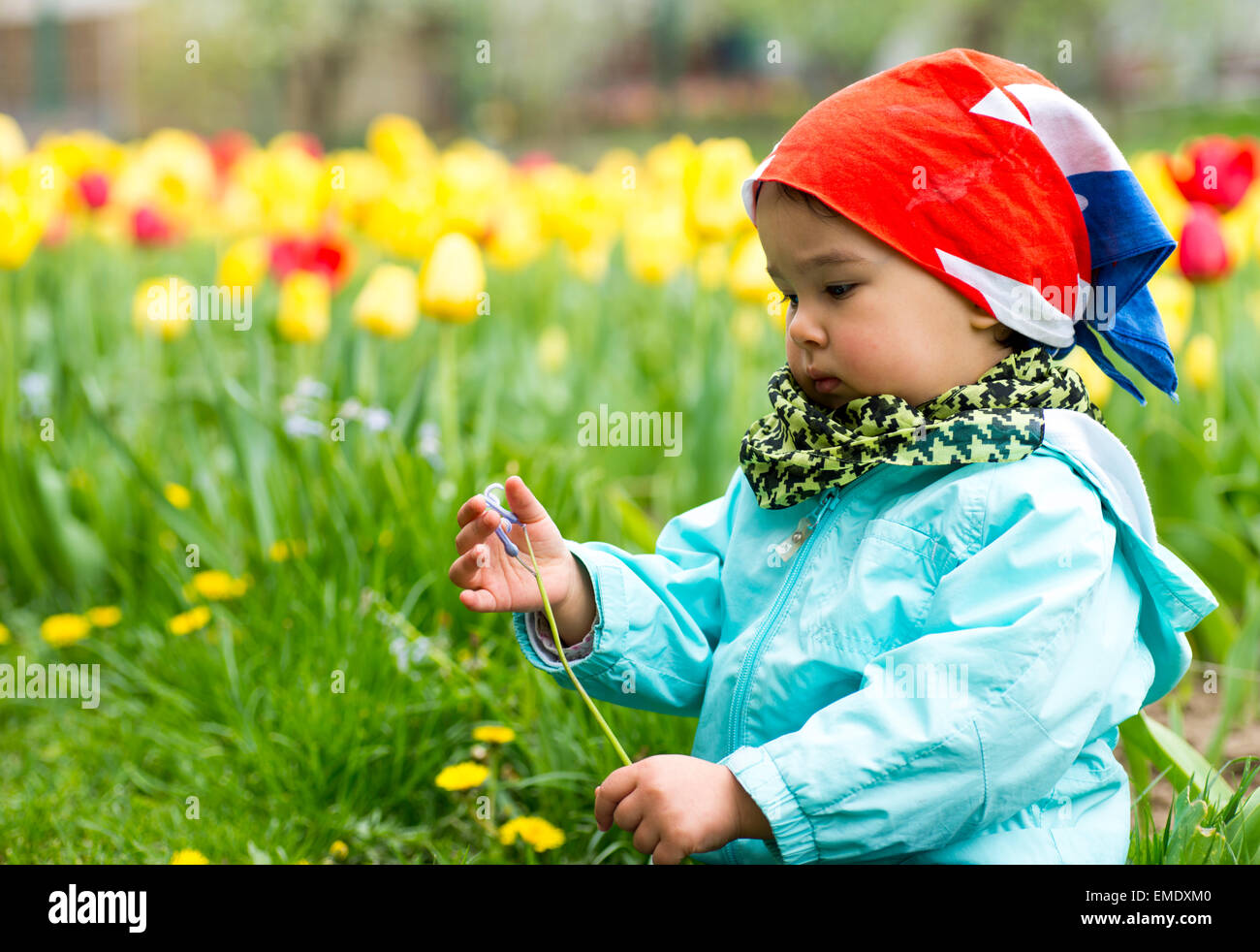 Adorable toddler girl gathering flowers Stock Photo - Alamy