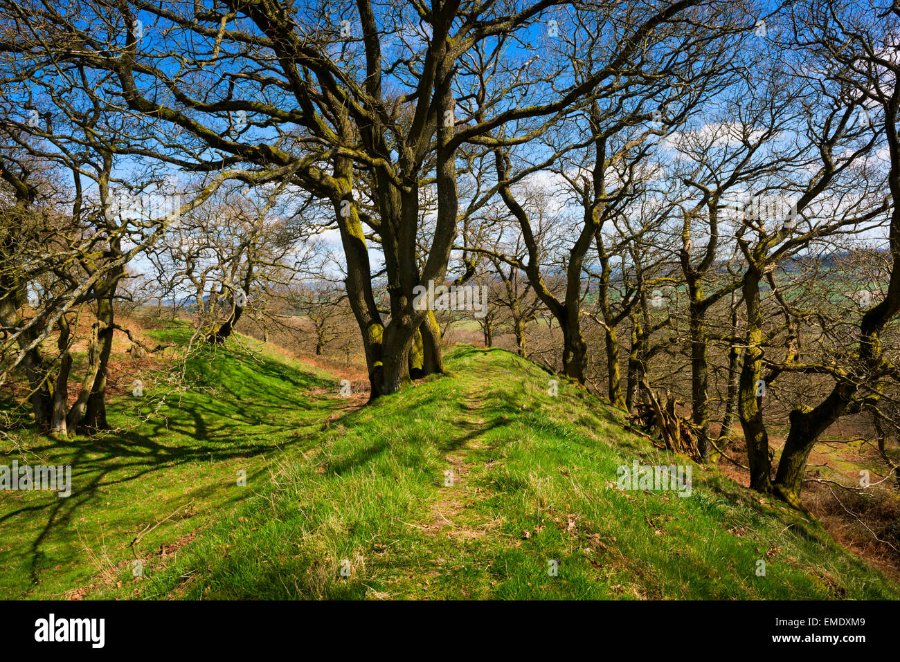 A path along the ramparts of Burrow Hill Iron Age hill fort, Hopesay ...