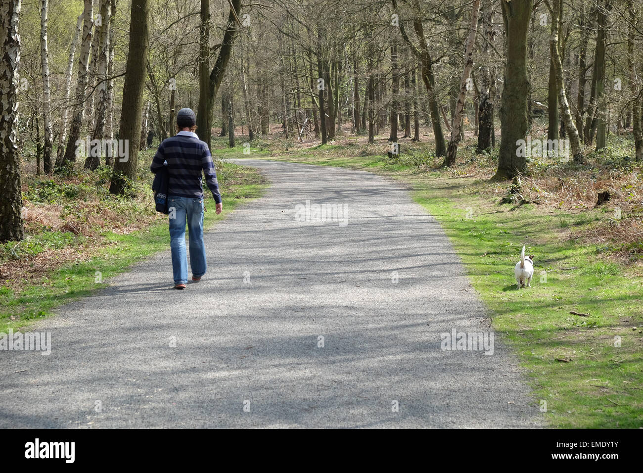 People enjoying warm spring sunshine at beacon hill country park Stock ...