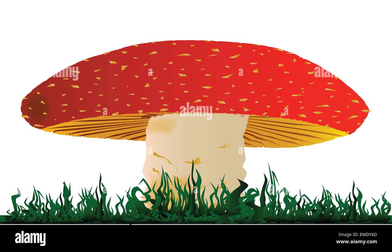 Toadstool cap Stock Vector Images - Alamy